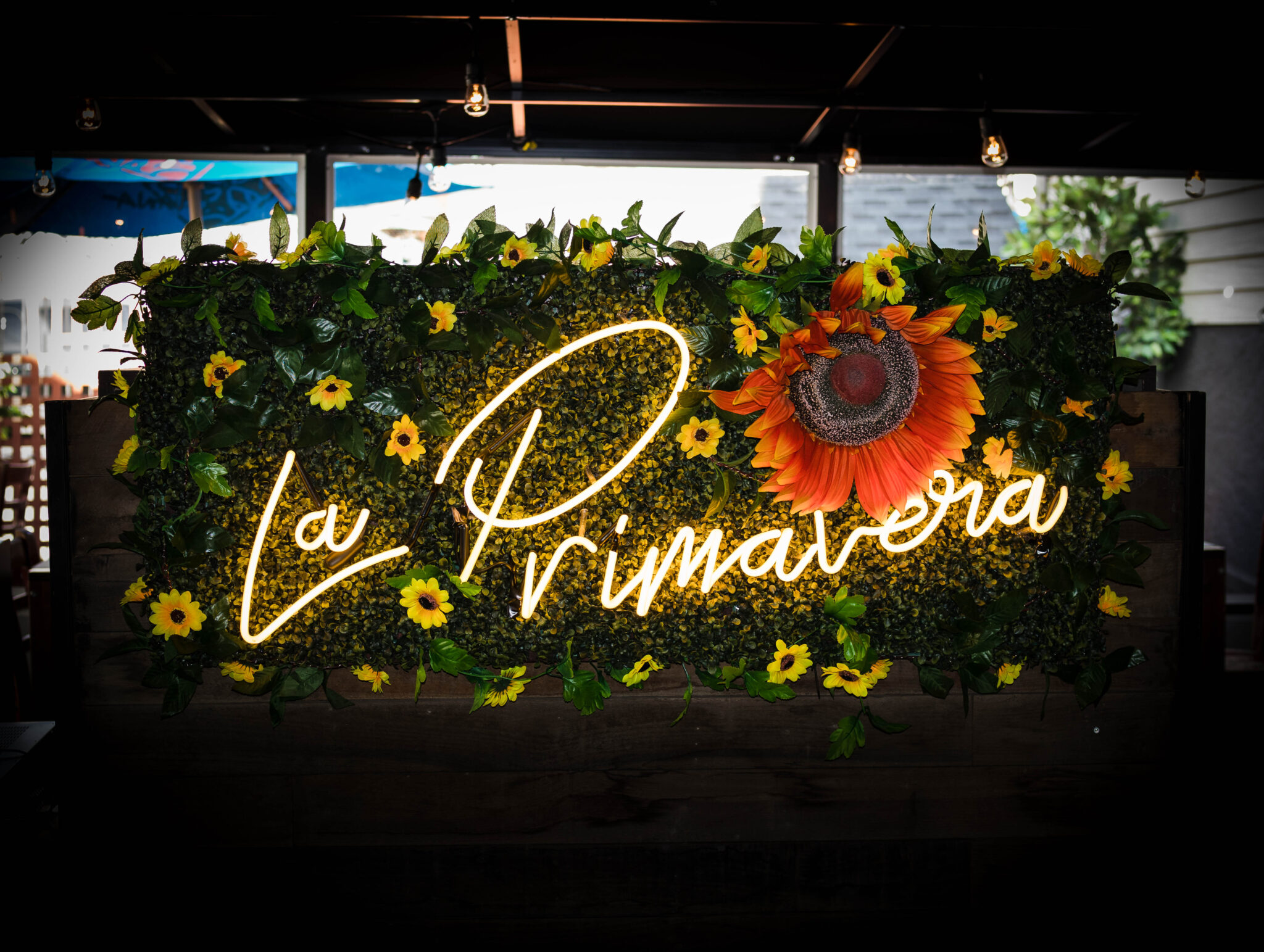 La Primavera | Spanish Tapas Restaurant in Newark NJ
